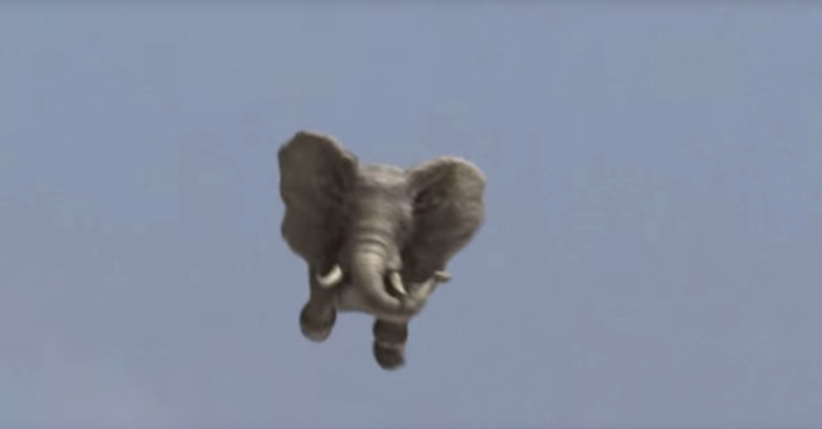 See The Flying Elephant? At First I Laughed, But 30 Seconds Later? I'm ...