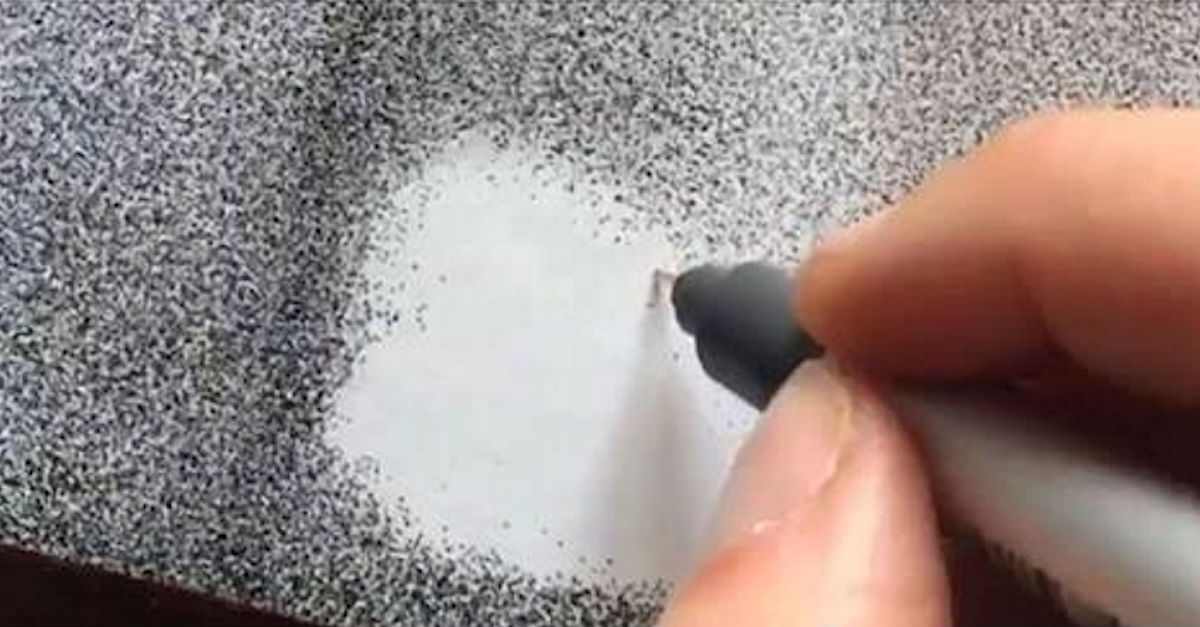 She Spent 70 Hours Drawing Tiny Dots. Watch When The Camera Pans Out ...