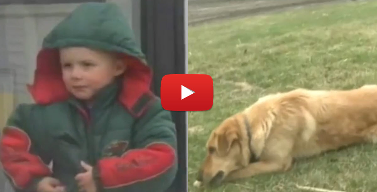 I'm So Thankful For This HERO Dog! You Won't Believe What He Did For ...