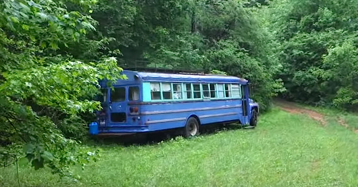 Father And Son Find A Purple School Bus In The Woods. When They Step ...