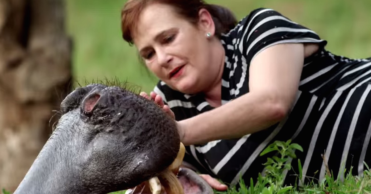 They May Be Different Species, But She's Been Her Mom For 13 Years. Now ...