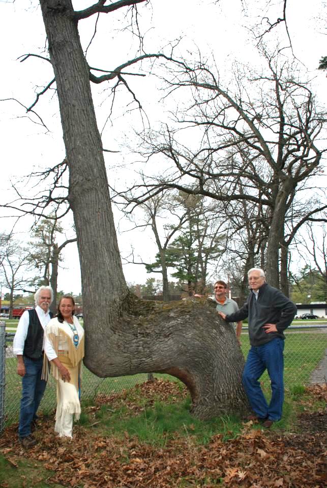 These Tree shapes Have Secret Native American Codes | LittleThings.com