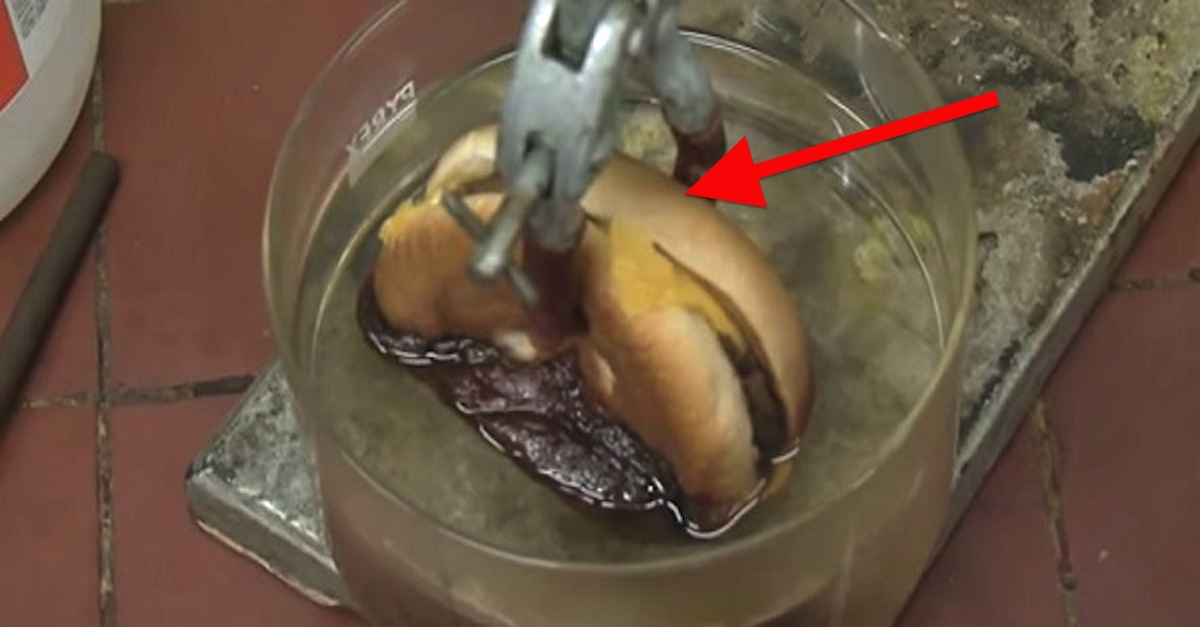 What Does Stomach Acid Look Like