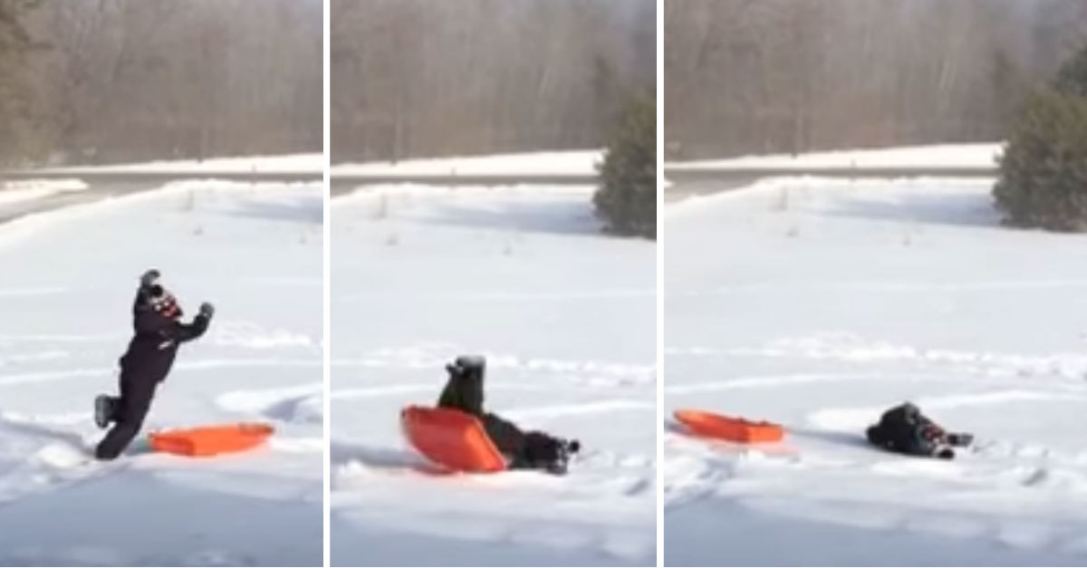Camera Catches Little Boy Adorably Trying To Catch His Sled, But It ...