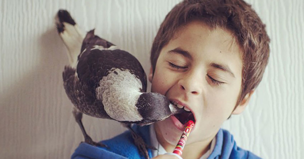 A Family Rescues An Injured Bird, But They Never Imagined Their Lives ...