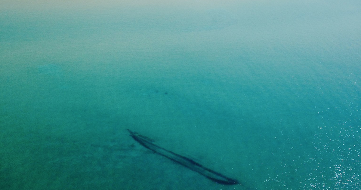 It Looks Like A Huge Sea Creature In Lake Michigan, But The Truth Is ...