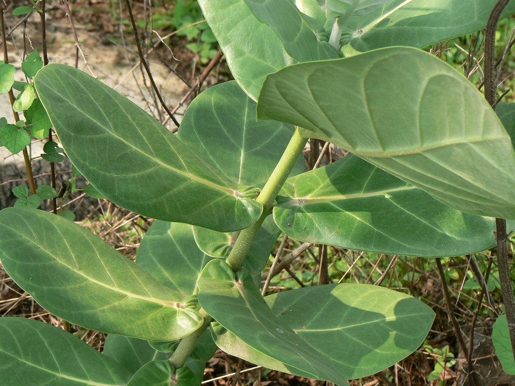 11 Things Used As Diapers Throughout History | LittleThings.com