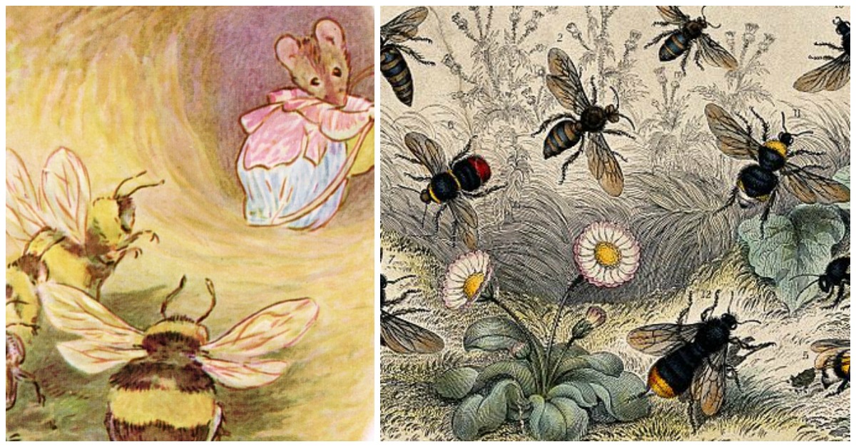 10 Facts About Bees That You Never Knew Before | LittleThings.com