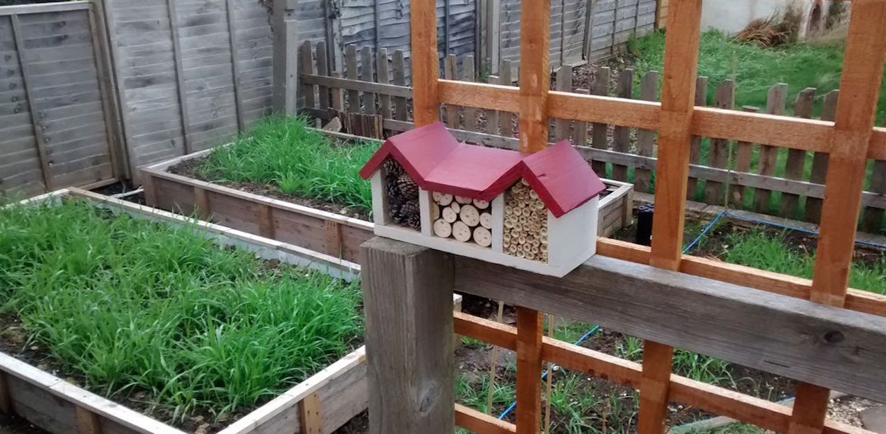 He Stuffs This Tiny House With Pine Cones And Wood For One UNBELIEVABLE ...