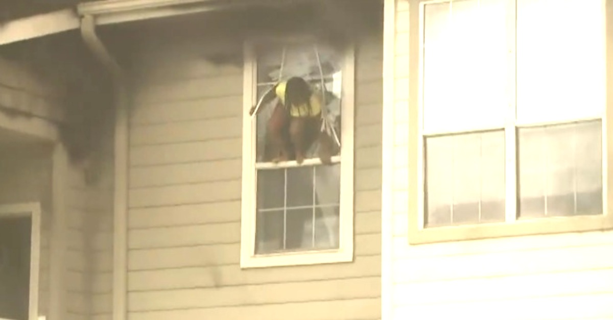 She’s Trapped In A Burning Building. Now Watch Who Shows Up Below The ...