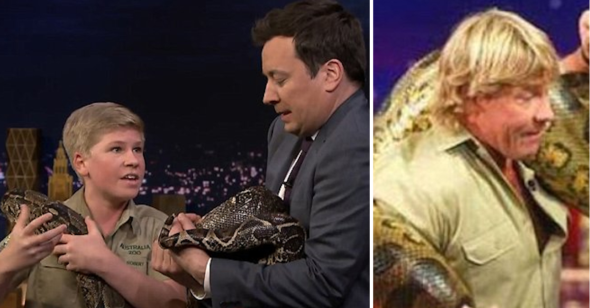 Steve Irwin's Son Looks Exactly Like Him | LittleThings.com