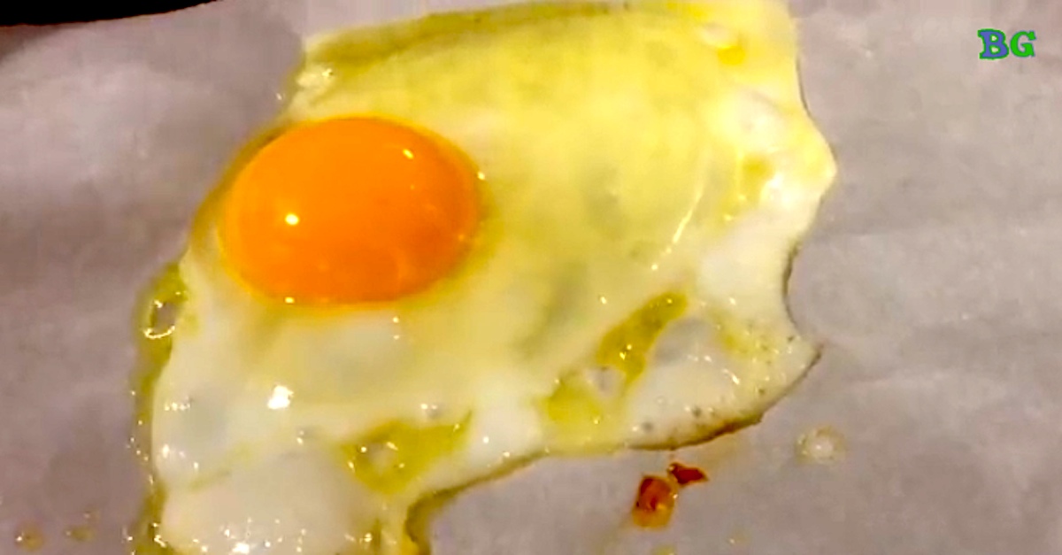 He Decides To Cook An Egg On Parchment Paper. The Reason? I NEED To Try ...