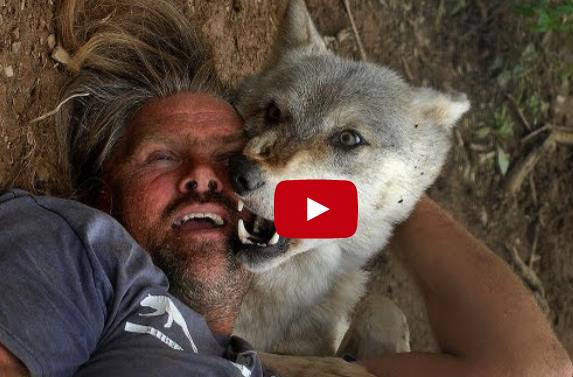 How Is This Possible? This Man Lives With Wolves And Has Become One Of ...