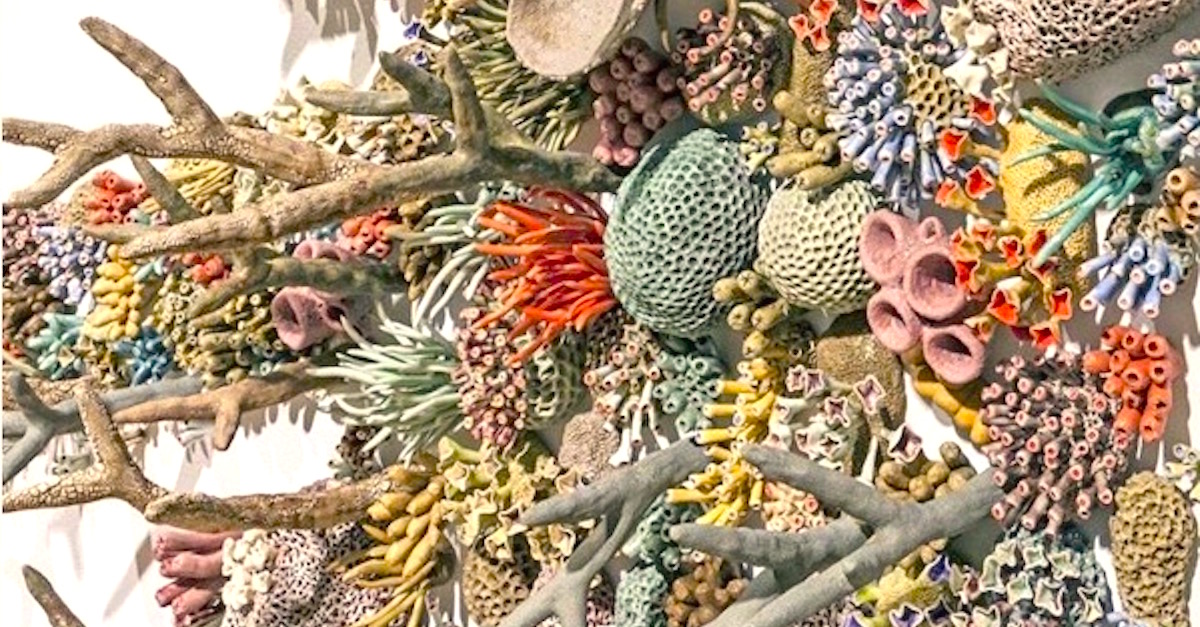 Artist Creates Coral Reef Sculptures To Help Save Our Beautiful Oceans ...