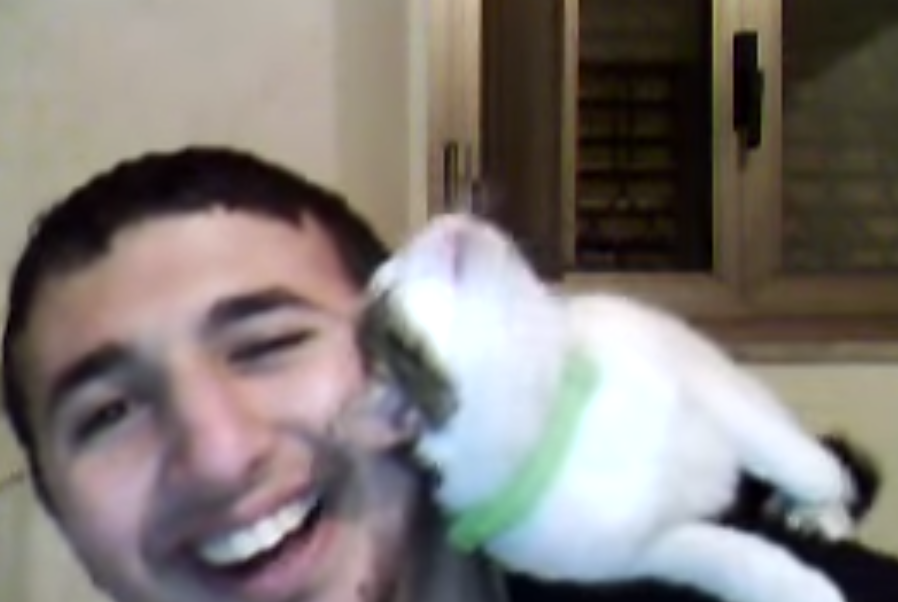 (Watch Video) Have You Ever Seen A Cat Act Like This? This Is So Funny ...