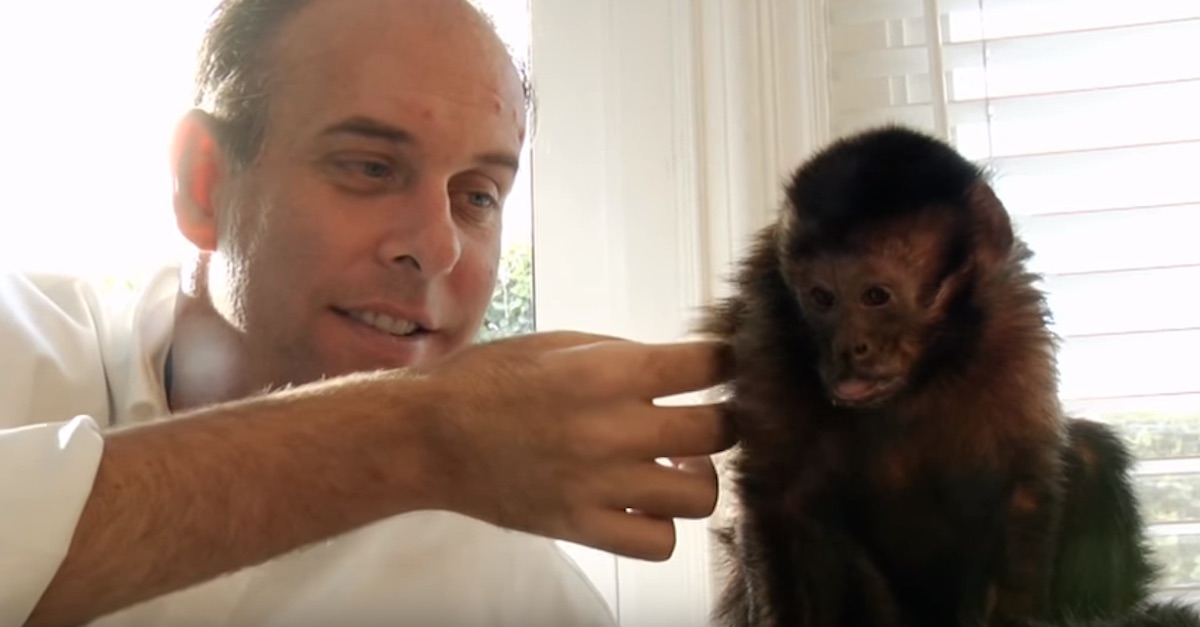 He Says That His Pet Monkey 'Alleviates' Pain, But The Touching Reason ...