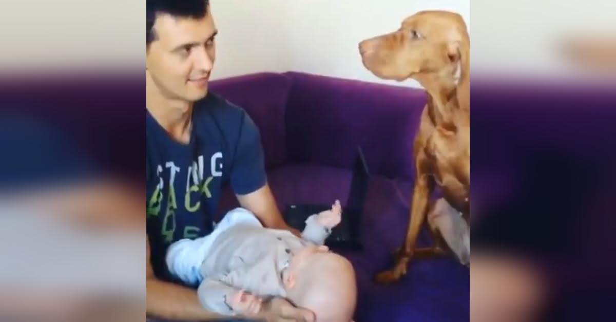 She's Jealous Of The Newborn. But When Dad Leans Down For A Kiss ...