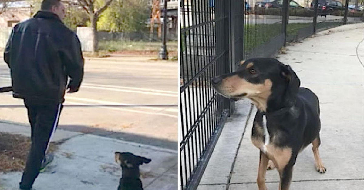 Man Loses It When Confronted At Park For Leaving Dog | LittleThings.com