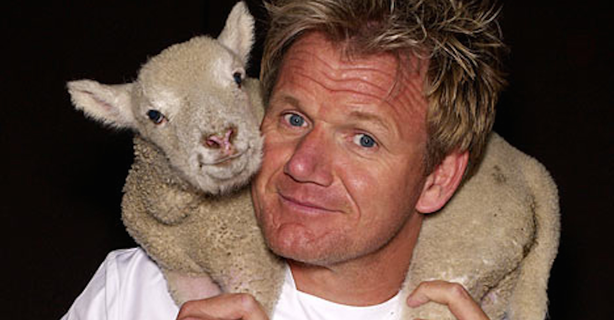 Gordon Ramsay Reveals The #1 Trick To Make Perfect Scrambled Eggs: Not ...