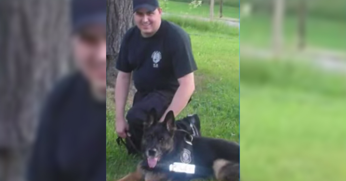 BREAKING NEWS: K9 Stabbed In The Line Of Duty, But He Is Now Recovering ...