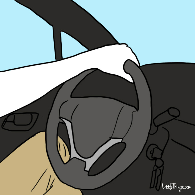 The Way You Drive Reveals Secrets To Your Personality... | LittleThings.com