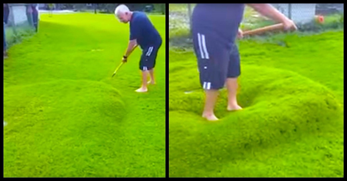 Man Pops Gigantic Lawn Bubble In His Backyard | LittleThings.com