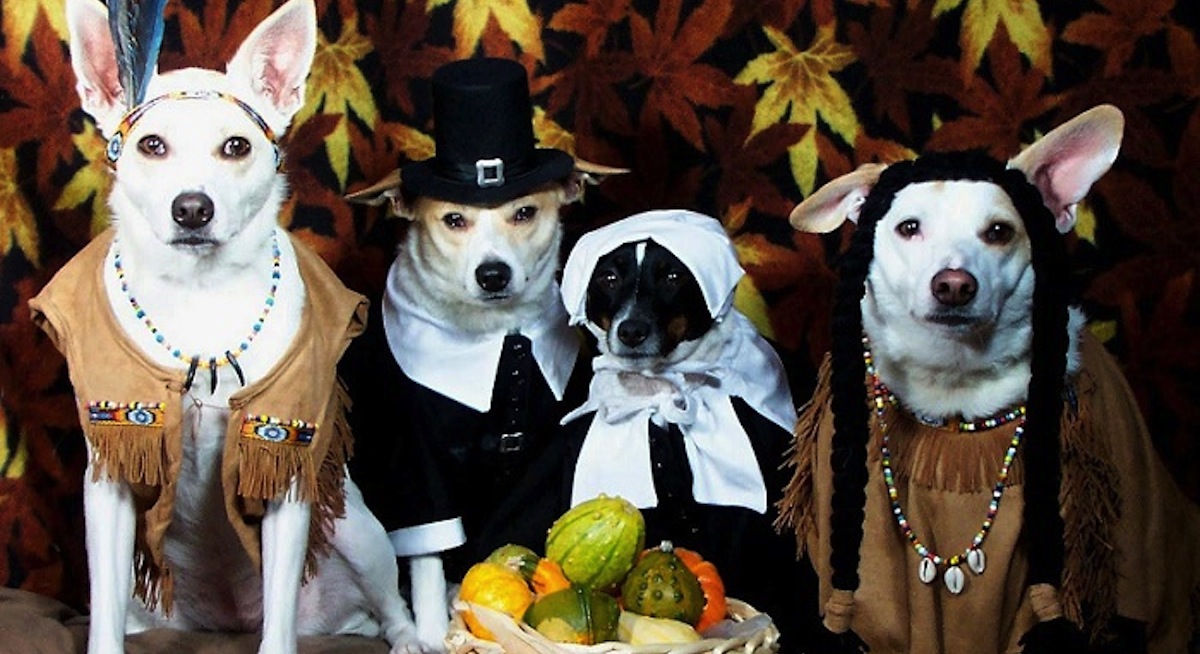 4 Hysterical Thanksgiving Jokes That Grandparents Will Totally Get ...