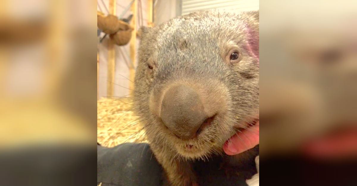 A Car Accident Left Her Struggling For Her Life. She Needed A Miracle ...