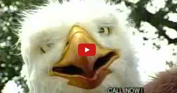 Is This Commercial From The 80s The Worst Commercial Ever Made? Have ... Is This Commercial From The 80s The Worst Commercial Ever Made? Have ...