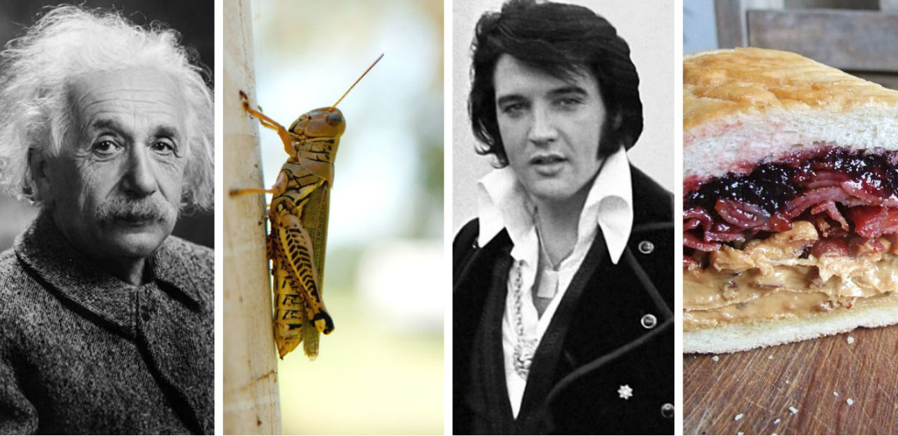 11 Weird Eating Habits Famous People Had In The Past | LittleThings.com