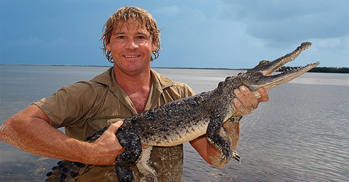 8 Years After His Death, Listening To Steve Irwin Talk About His ...