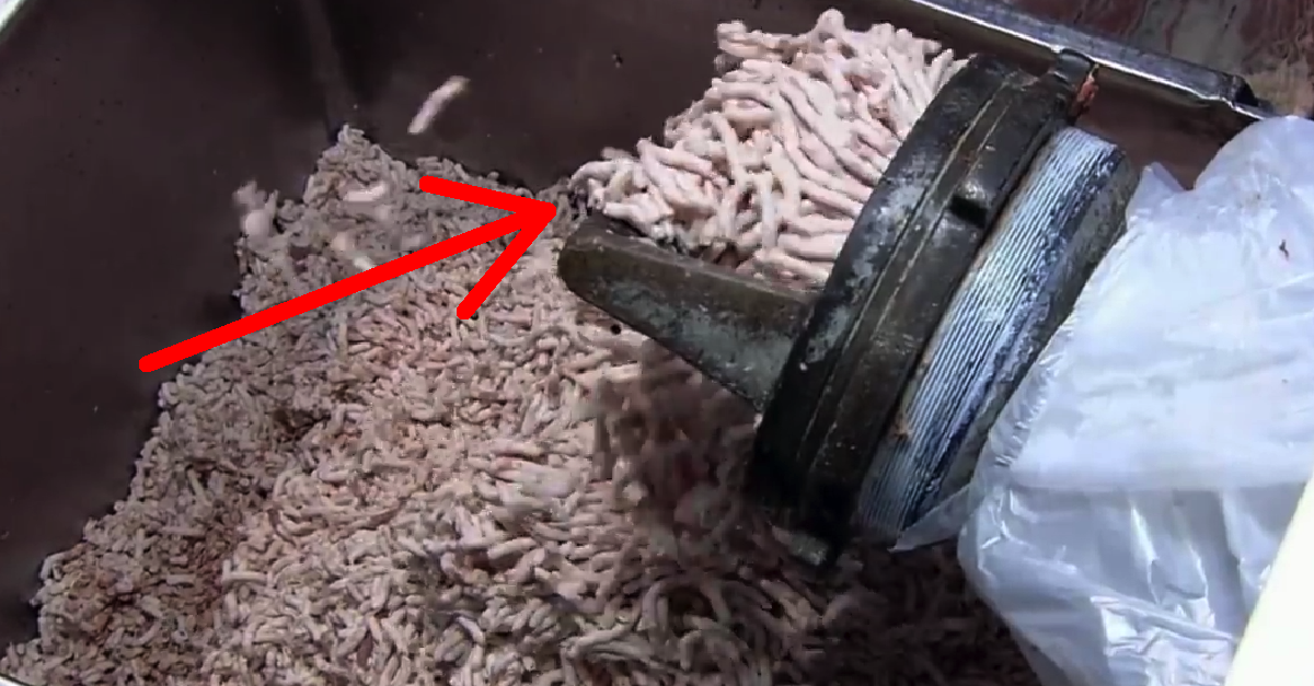 This Video About Hot Dogs May Shock You. I Had No Idea! | LittleThings.com