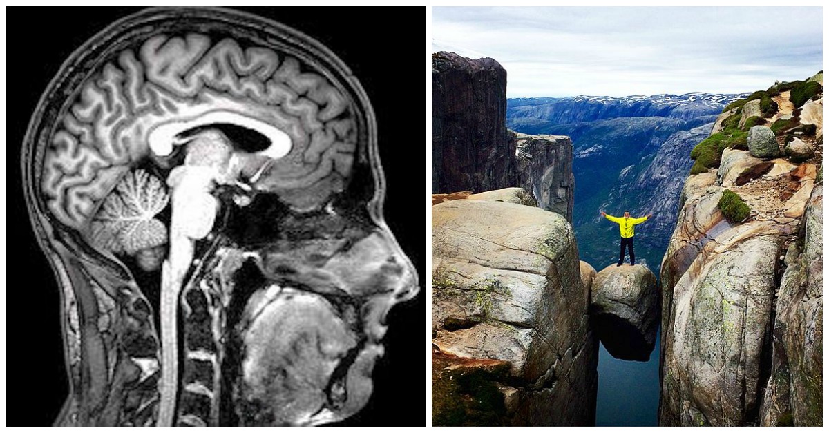 10 Surprising Facts About Fear That Will Surprise You | LittleThings.com