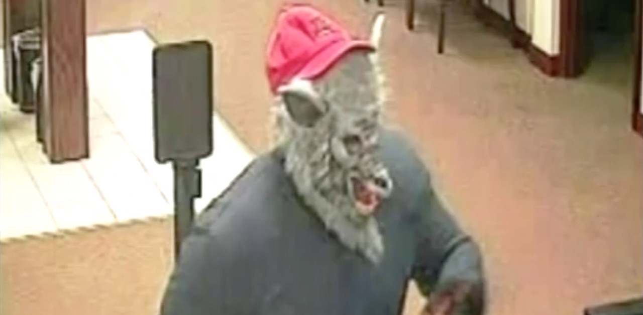 Bank Robber Stuffs His Face Into A Wolf Mask. But When He Shows Up On ...