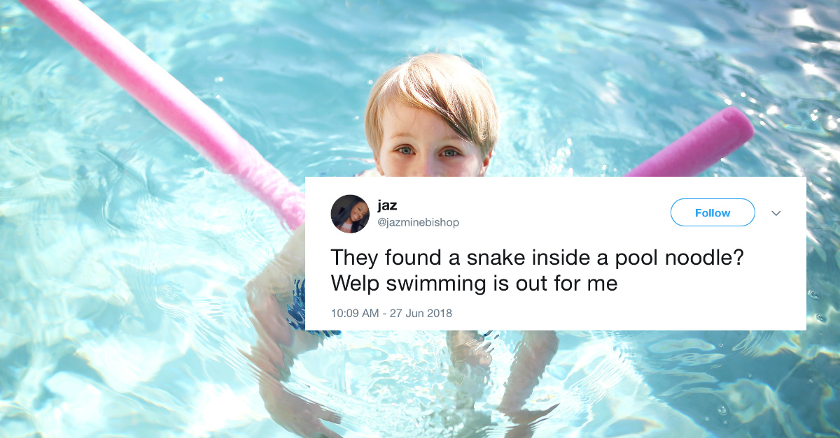 Arizona Fire Department Warns Of Snakes Hiding In Pool Noodles ...