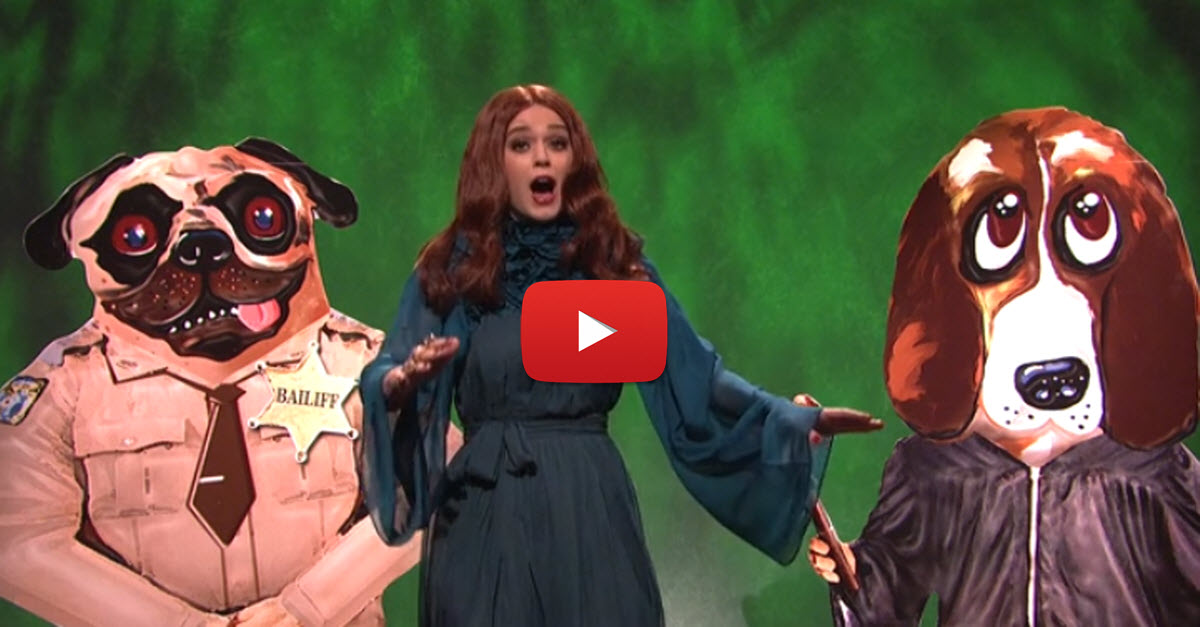 So Dumb, It's Funny! This Doggie Skit Is Exactly Why I'll Always Love ...