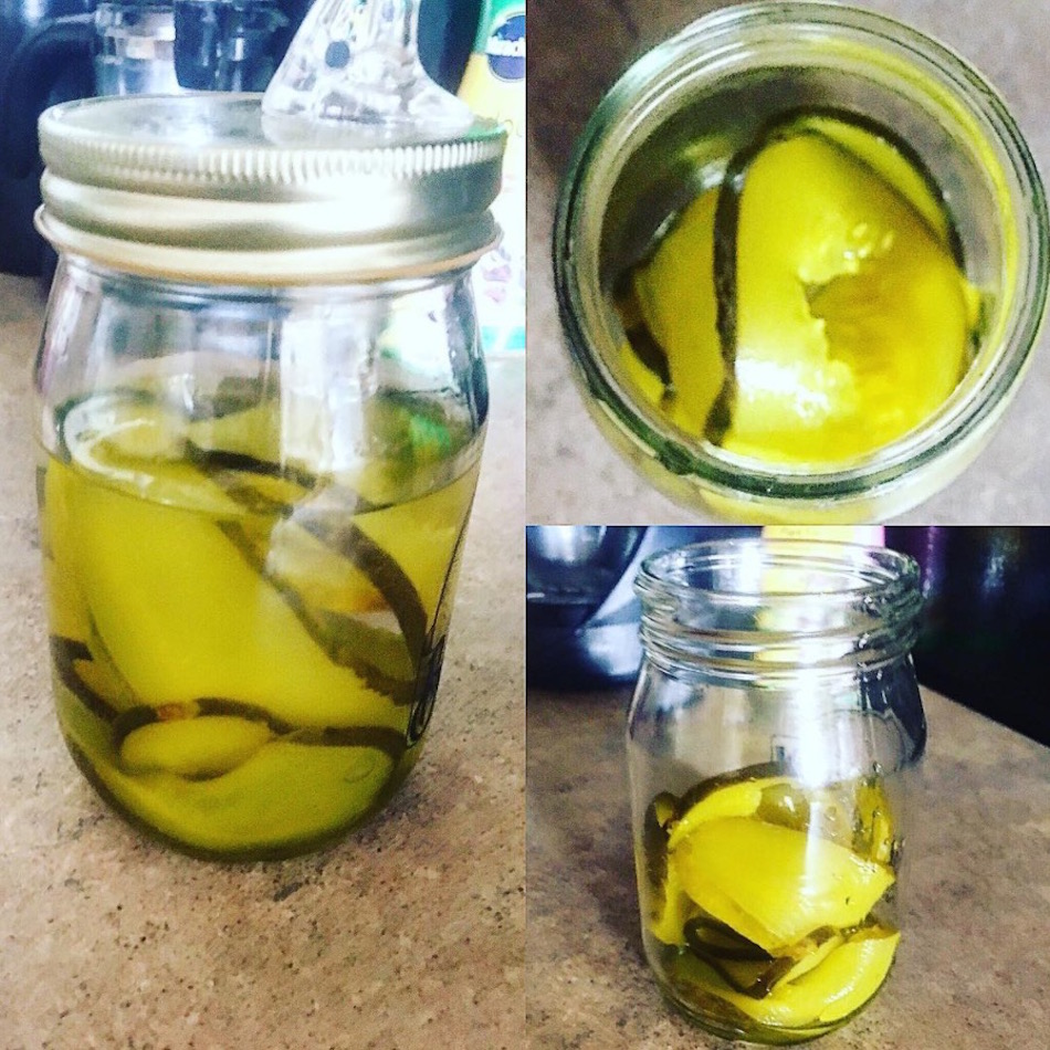 12 Incredible Unique Pickle Recipes For All Pickle Lovers ...