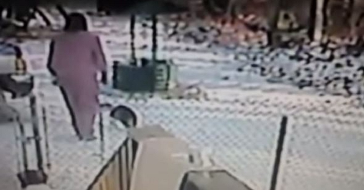 This Horrible Woman Attacked This Cat... You Won't Believe What The Cat ...
