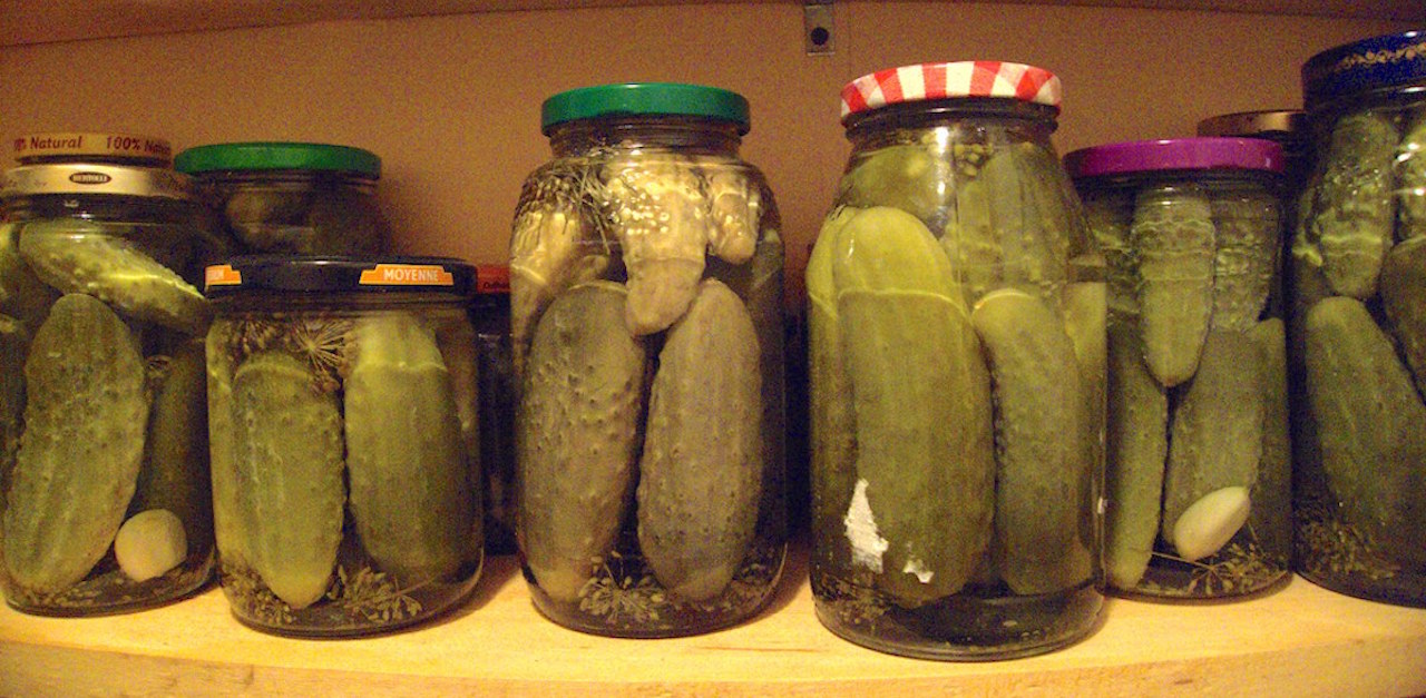 12 Incredible Unique Pickle Recipes For All Pickle Lovers ...