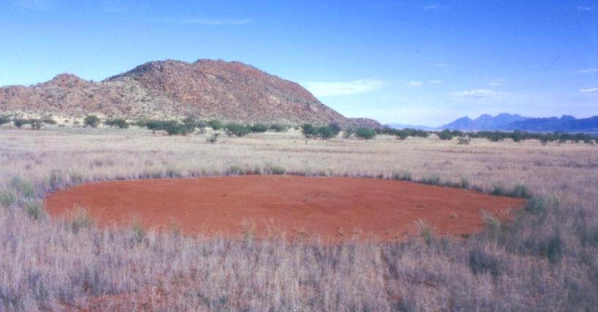 Thousands Of Mysterious Rings Were Just Discovered On Earth. No One Can ...