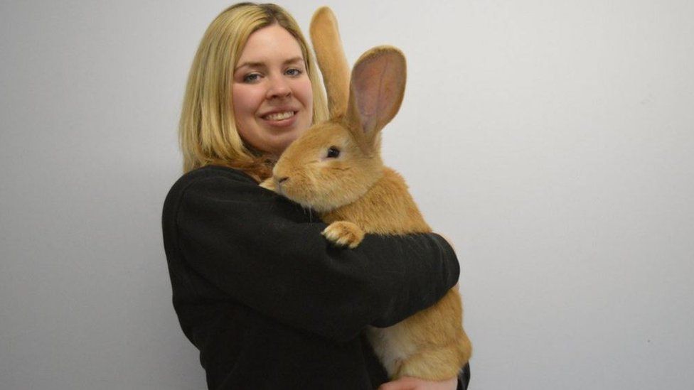 He Looks Like An Ordinary Rabbit, But When She Lifts Him Up? Incredible ...