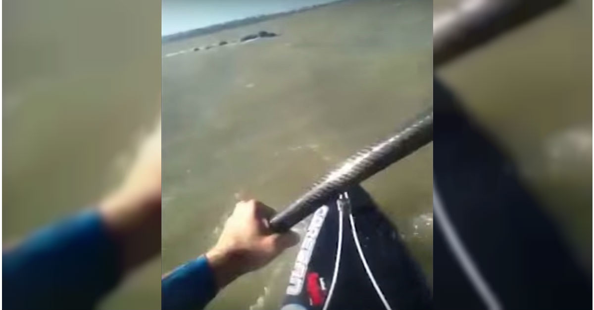 Paddle Boarder Hears Crying From The Rocks. Now Watch Closely When He ...
