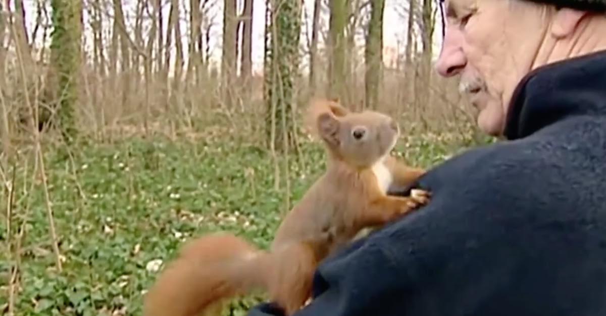 A Squirrel Climbs Straight Up A Grown Man's Torso, But Watch His Tiny ...
