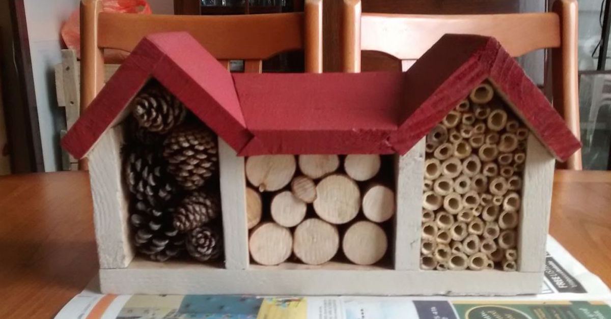 He Stuffs This Tiny House With Pine Cones And Wood For One UNBELIEVABLE ...