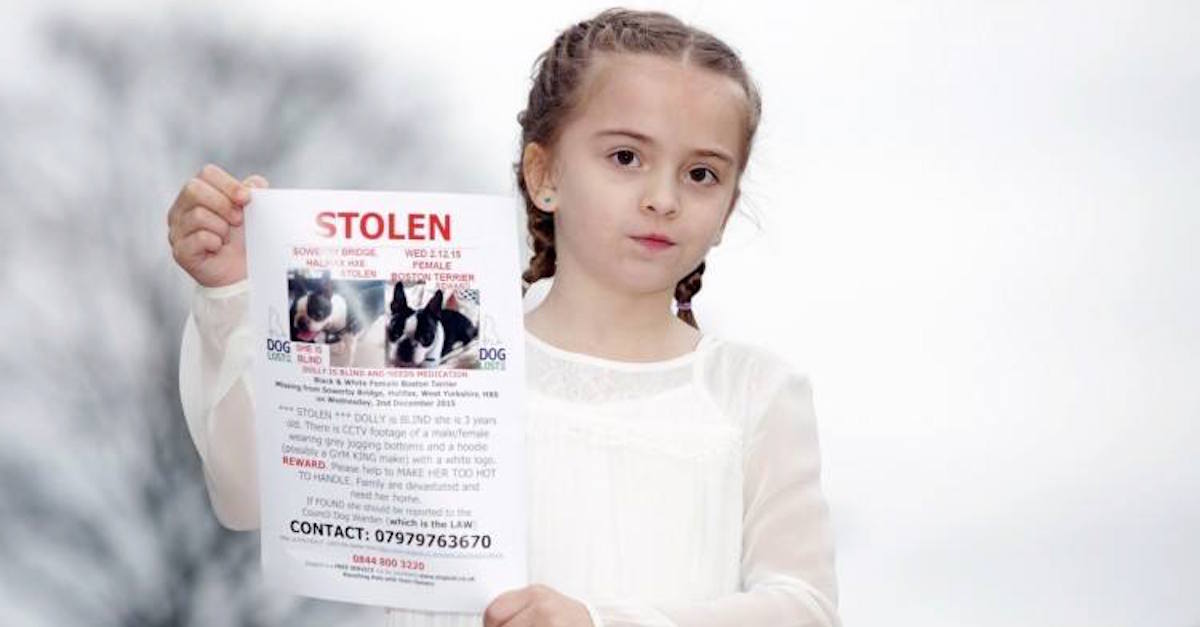 When Her Dog Disappears, This 7-Year-Old Girl Writes Santa A Letter ...