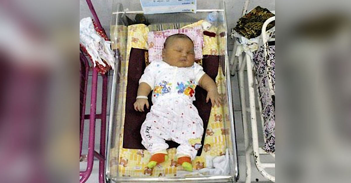 Mom Gave Birth To 3 ''Big'' Babies. But When The Camera Pans Out, I'm ...