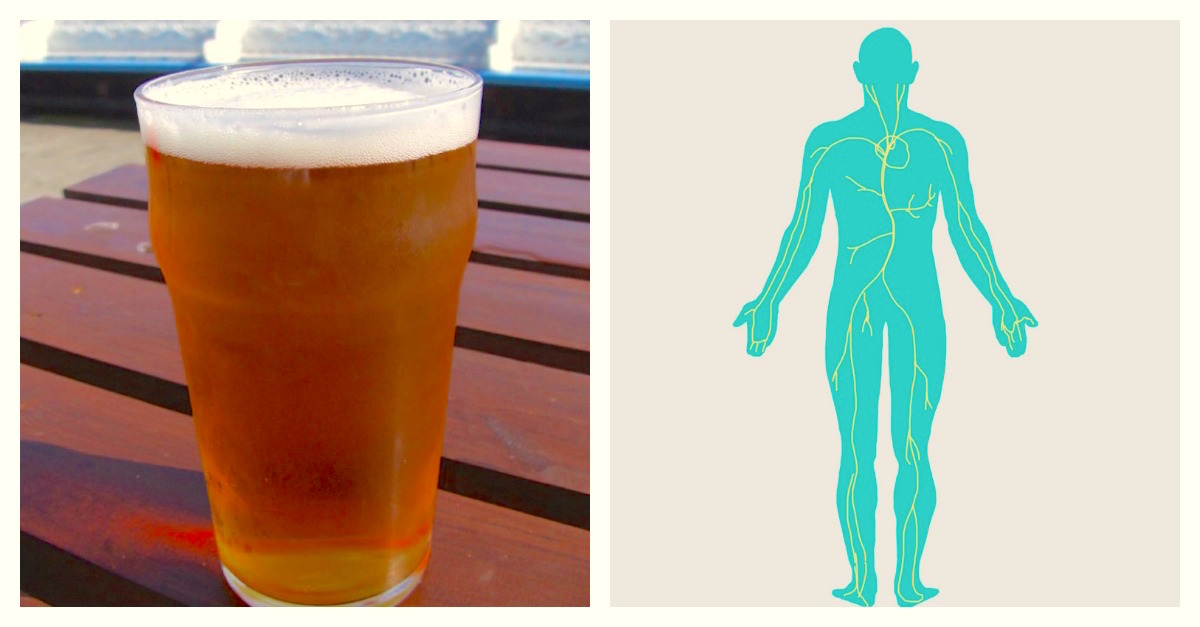 8 Health Benefits Of Beer That Might Surprise You | LittleThings.com