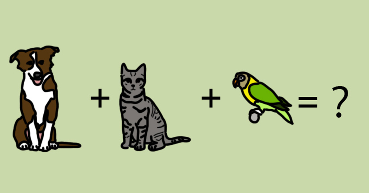 These Four Fun Math Problems Are Great For Kids | LittleThings.com