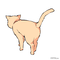 These 6 Tail Movements Can Reveal Your Cat's Secret Emotions. I Had No ...