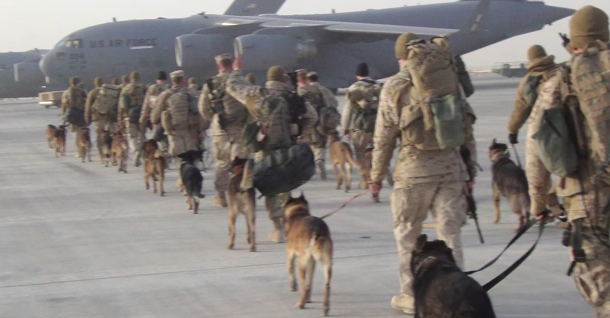 Marine Kneels Down To Thank The Dog That Saved His Life. But Look At ...